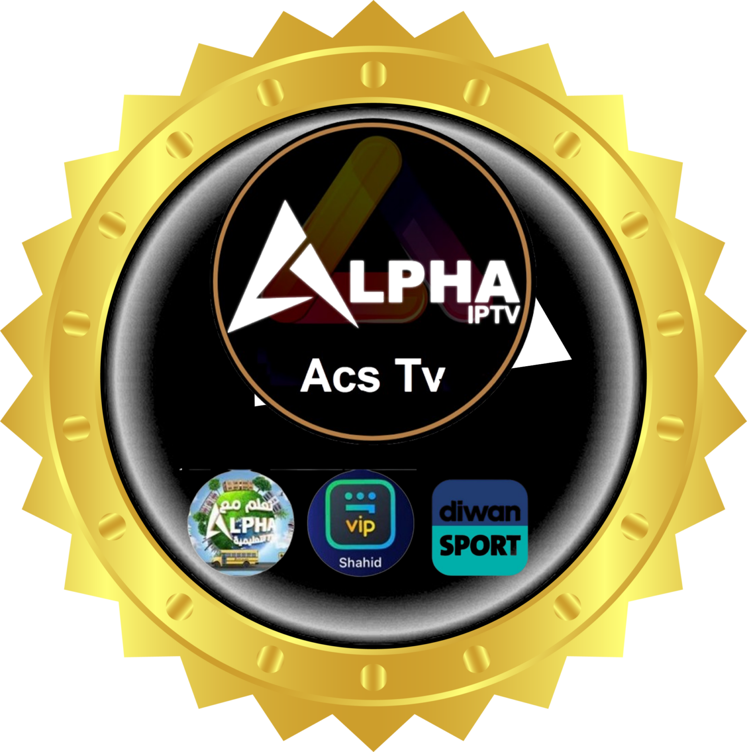 ABONNEMENT Alpha TV ( ACS 4 EN 1 ) 12 mois - ElectroSatellite Tunisie