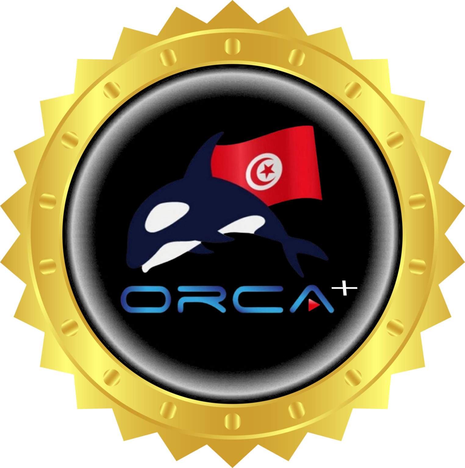 ABONNEMENT ORCA PRO MAX 12MOIS - ElectroSatellite Tunisie